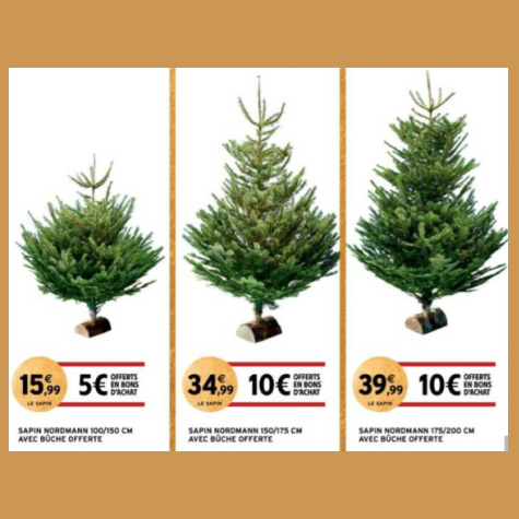 Prix De Sapin De Noel